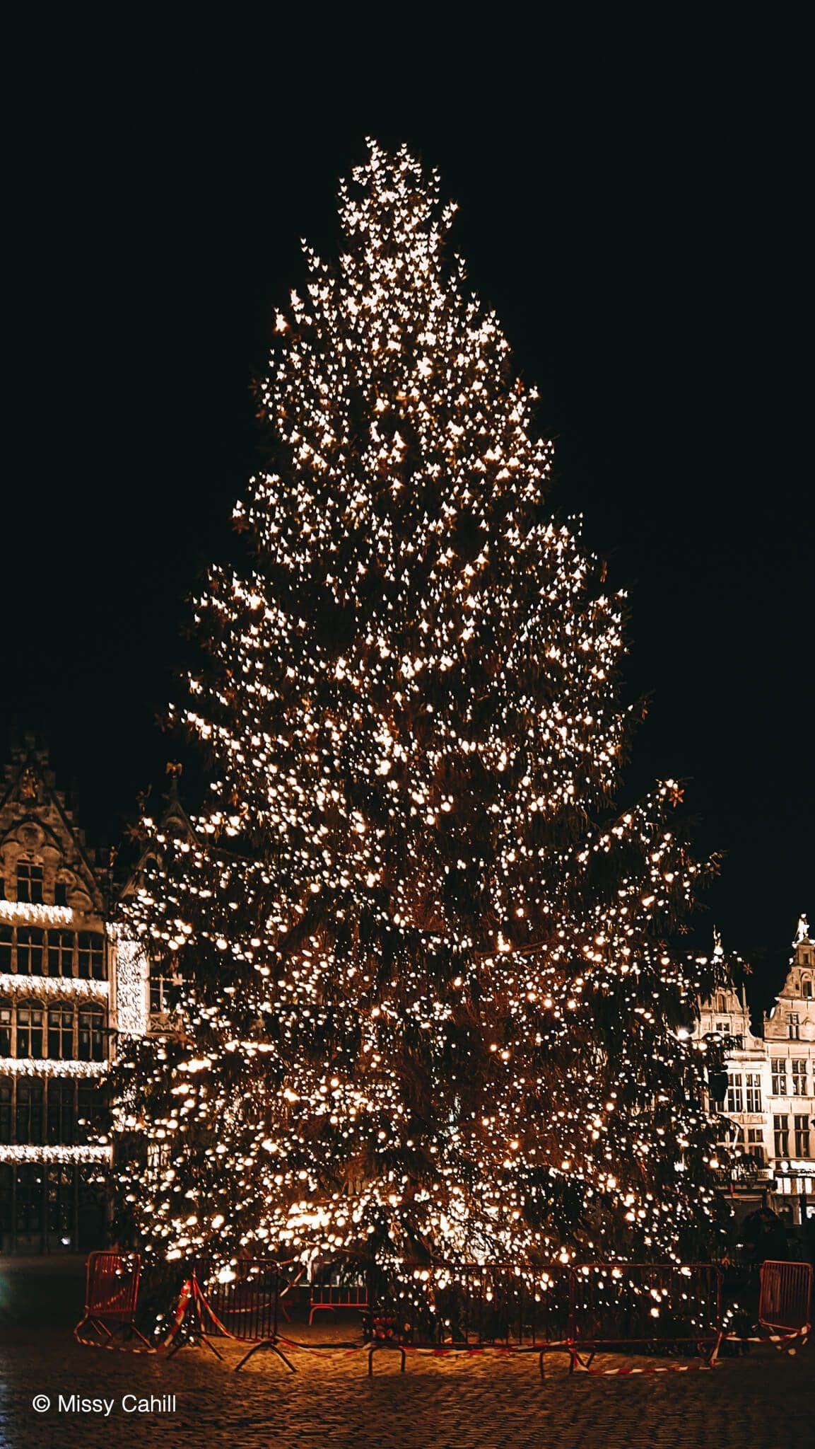 Experience the Magic of Antwerp in Winter (2023) - Travels With Missy