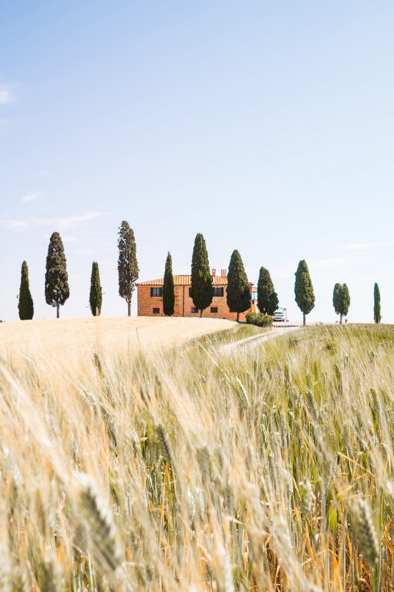 Experience Tuscany In The Fall - 8 Things To Do In 2025 - Travels With ...