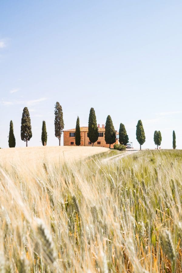 Experience Tuscany In The Fall - 8 Things To Do In 2025 - Travels With ...