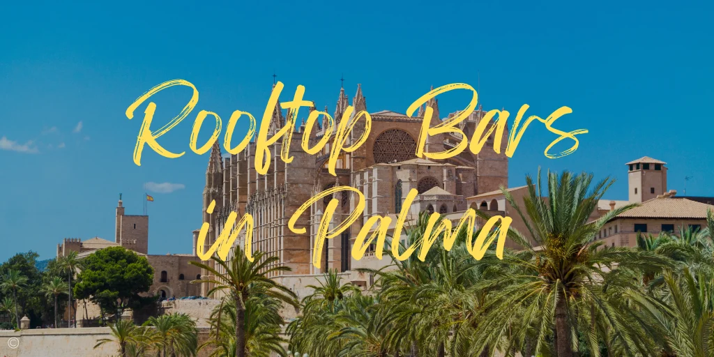 8 Unmissable Rooftop Bars in Palma de Mallorca - Travels With Missy