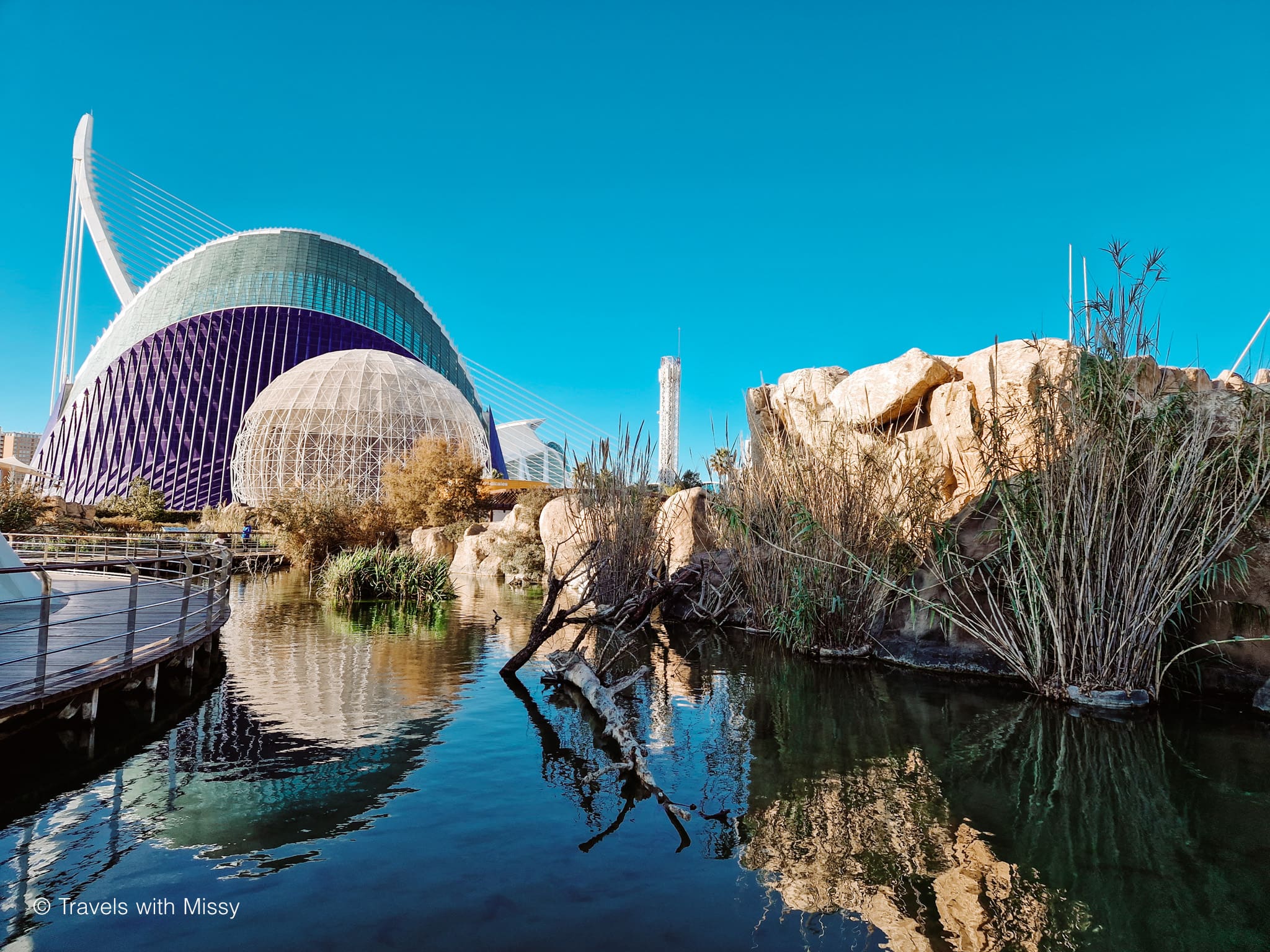The 2025 Guide to the Oceanografic Valencia Aquarium (Tickets ...