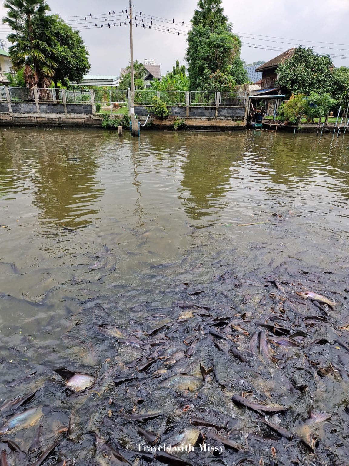 A Guide to Big Buddha Bangkok (Wat Paknam) in 2025 - Travels With Missy
