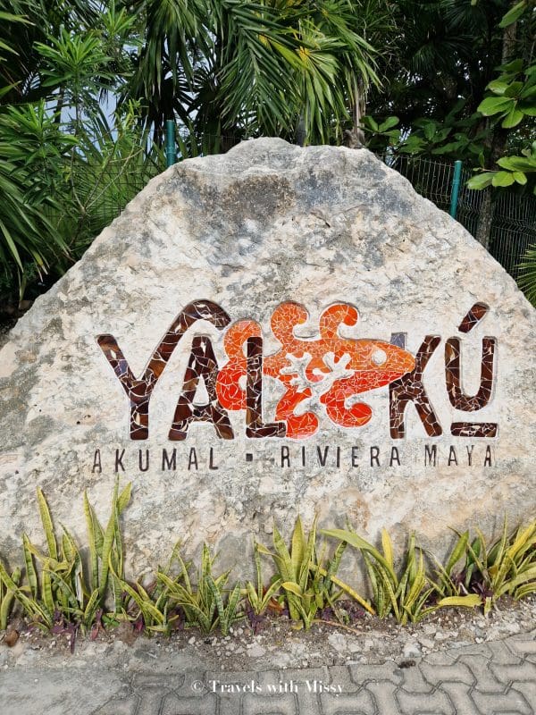 The Guide to Akumal: Hotels, Restaurants & Things To Do - Travels With ...