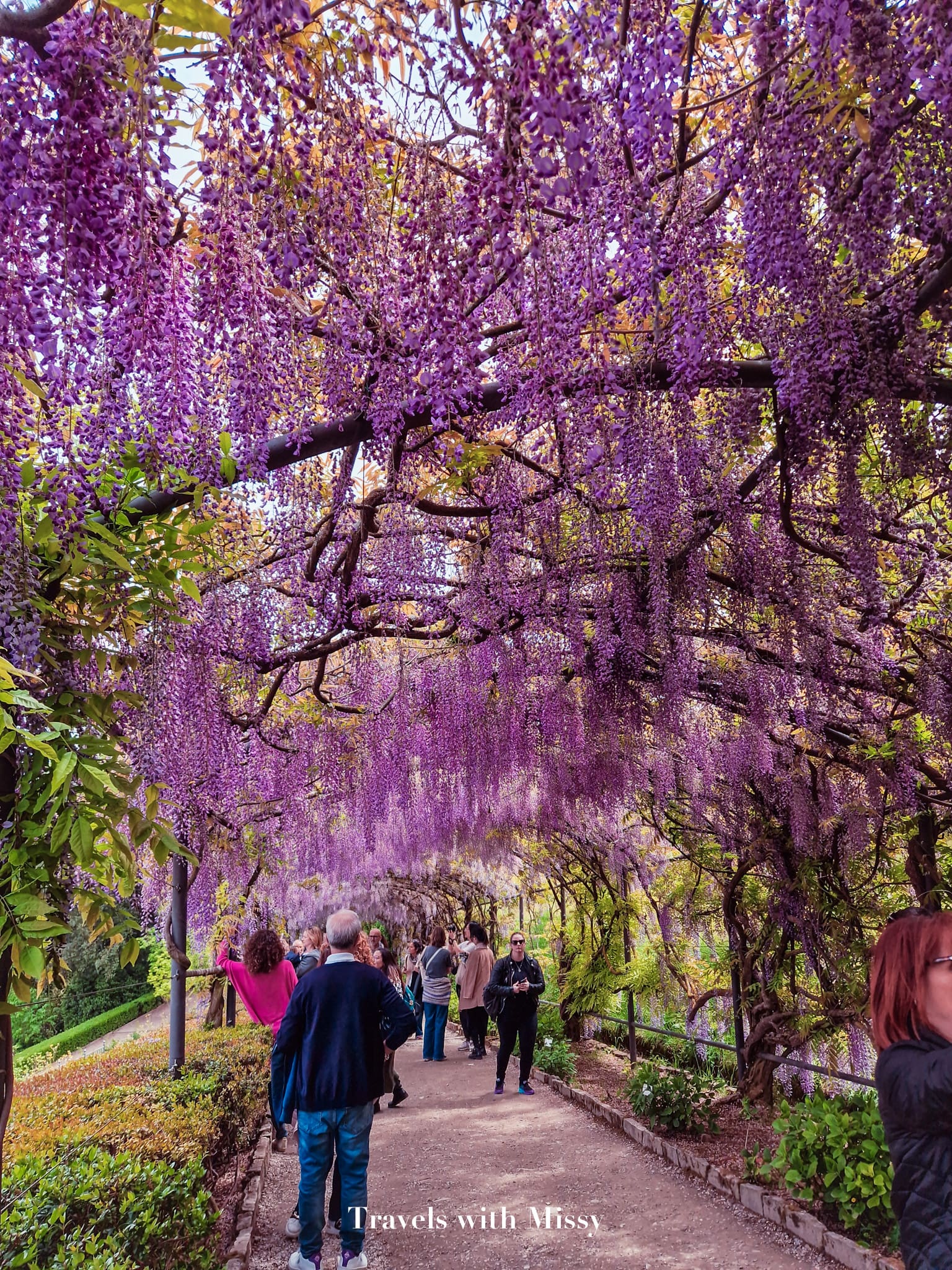 An Action-Packed 2 Days in Florence Itinerary - Travels With Missy